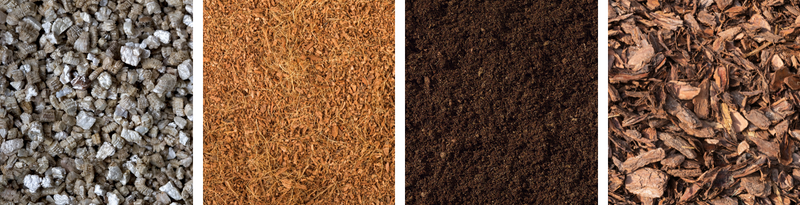 Choosing the Best Growing Media for Thriving Container Vegetables ...