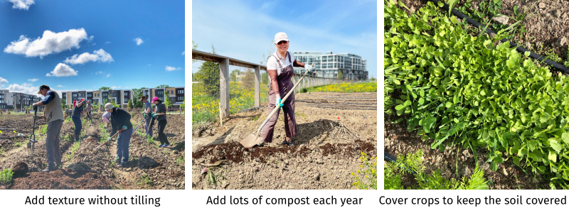 Soil Preparation: Essential Steps for Thriving Vegetable Gardens ...